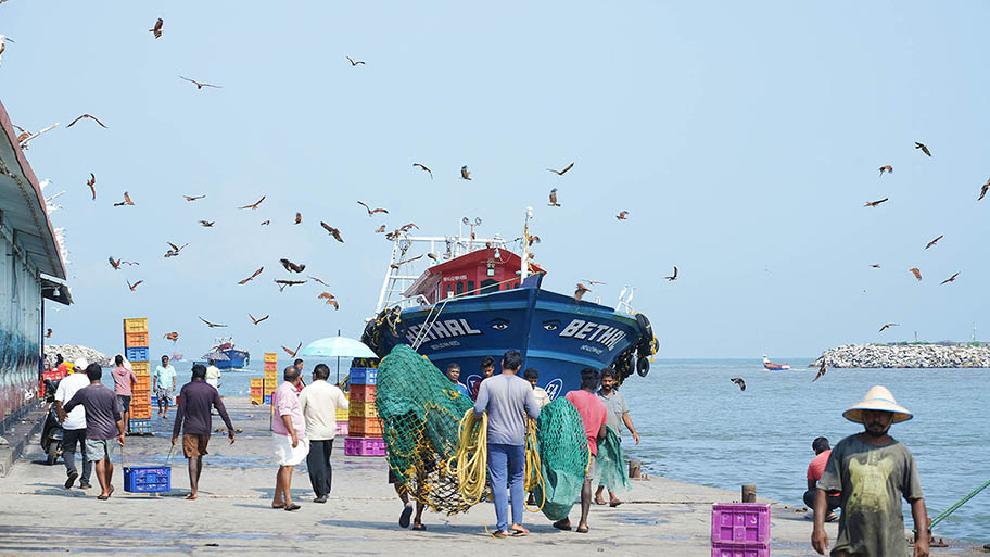 Kerala Shrimp Trawl Project: Assessing Bycatch Reduction Devices ...