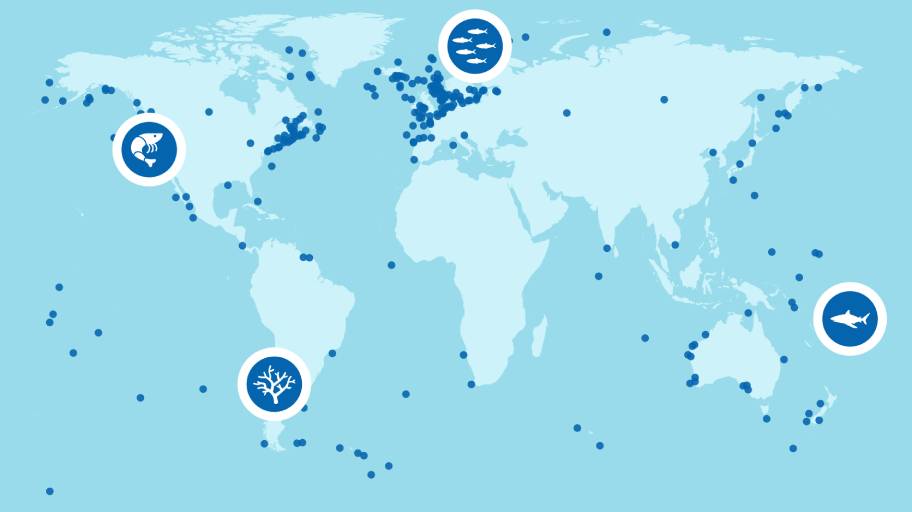 Fisheries improving | Marine Stewardship Council