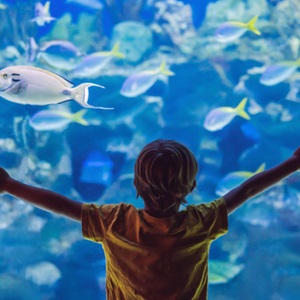 MSC Media Centre | Marine Stewardship Council