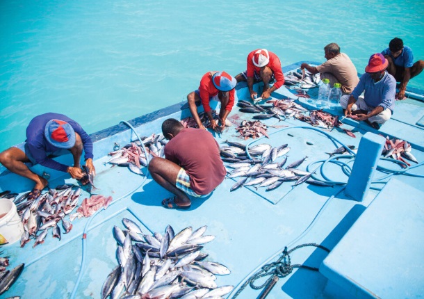 5 ways sustainable fishing gives us more | Marine Stewardship Council