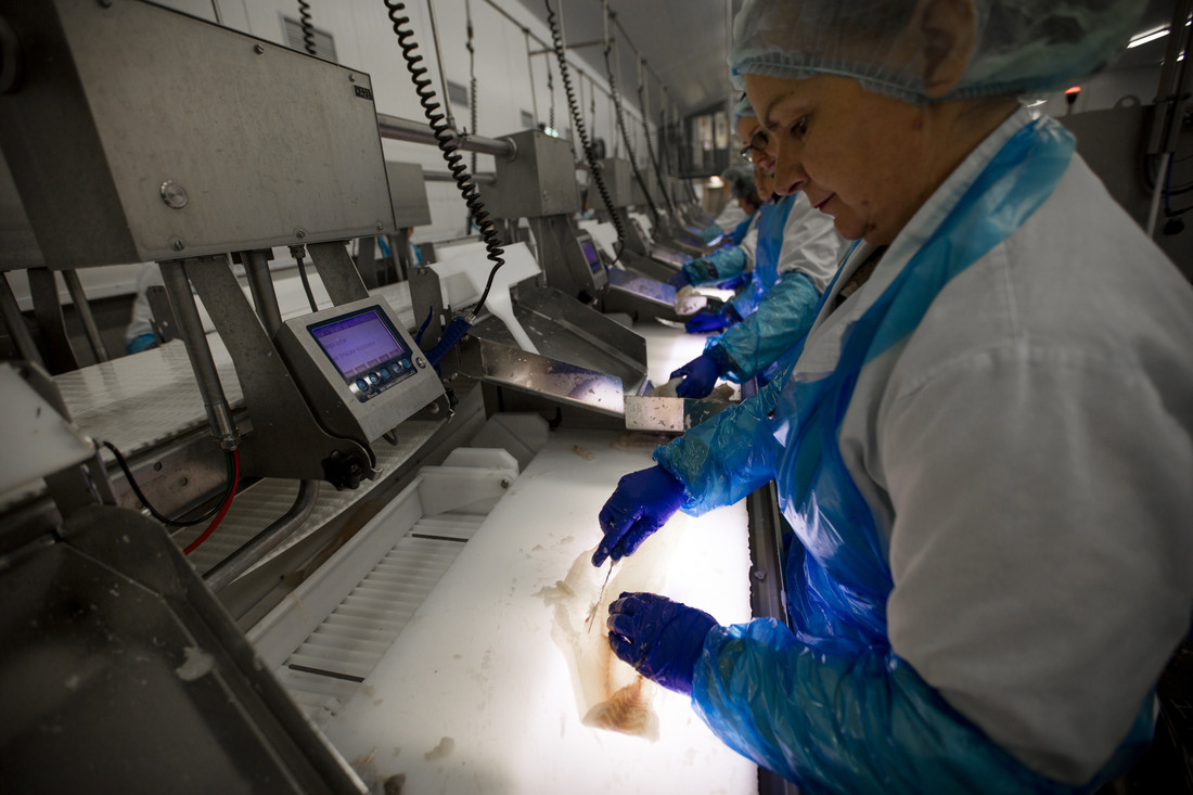 The MSC Chain of Custody Standard | Marine Stewardship Council | Marine Stewardship Council