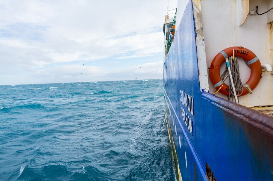 The New Zealand Hoki Story | Marine Stewardship Council