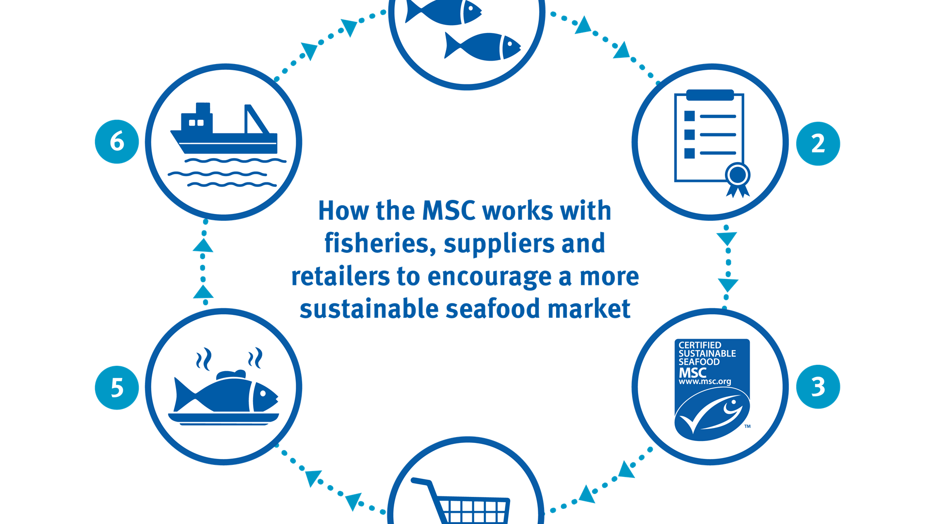 The MSC theory of change | Marine Stewardship Council