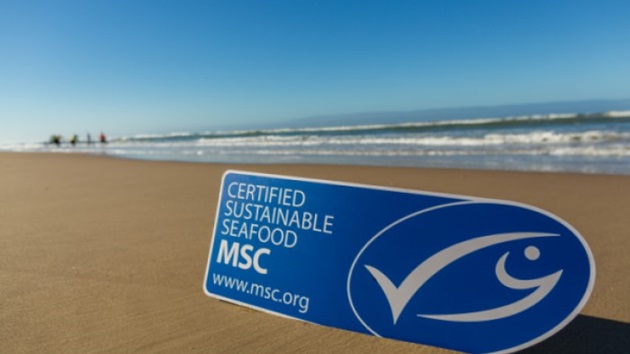 Stakeholder Survey reports | Marine Stewardship Council