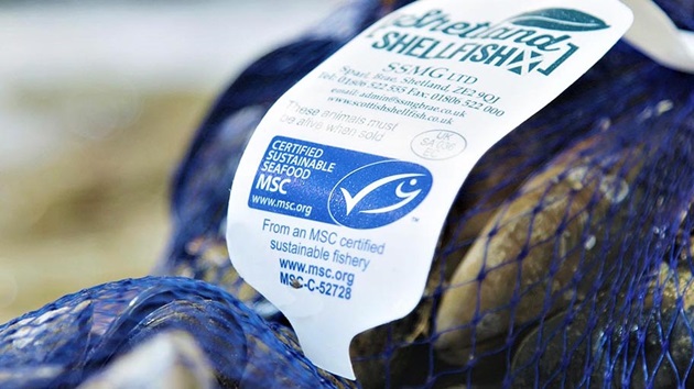 What is cod | Sustainable fish | Marine Stewardship Council