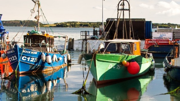 Improving accessibility for small-scale fisheries | Marine Stewardship ...