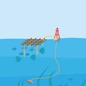 What Is Purse Seine Fishing | Marine Stewardship Council