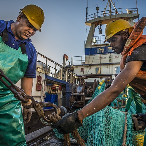 MSC Portugal - Pesca Sustentável | Marine Stewardship Council