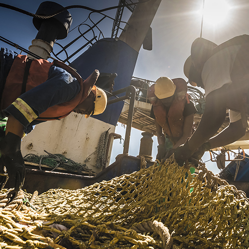 What is sustainable fishing | Marine Stewardship Council