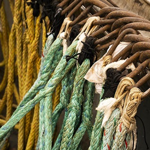 MSC Evidence Requirements Framework | Marine Stewardship Council