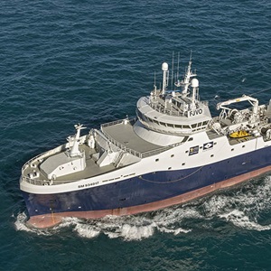 Reducing turtle bycatch in the Réunion coastal longline swordfish ...