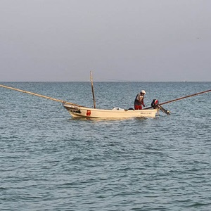 South Africa longline hake fishery: Improvements to protect vulnerable ...