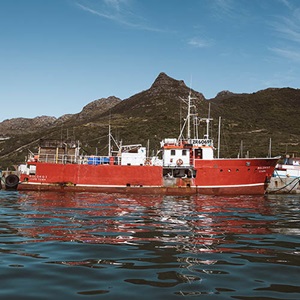 Identifying environmental factors impacting Cape hake 2023 | Marine ...