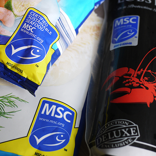 What is the MSC | Marine Stewardship Council