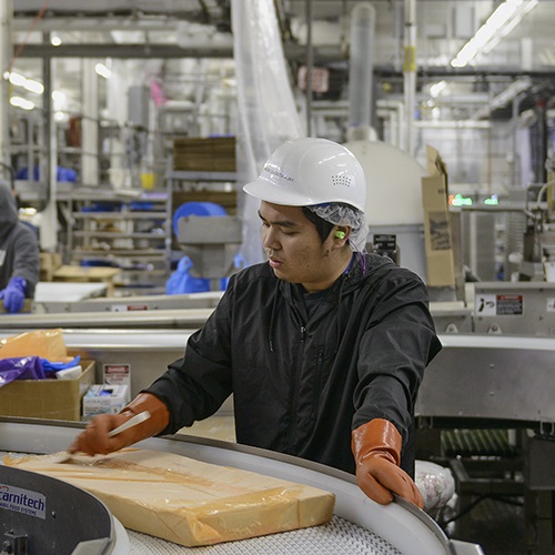 The MSC Chain of Custody Standard | Marine Stewardship Council