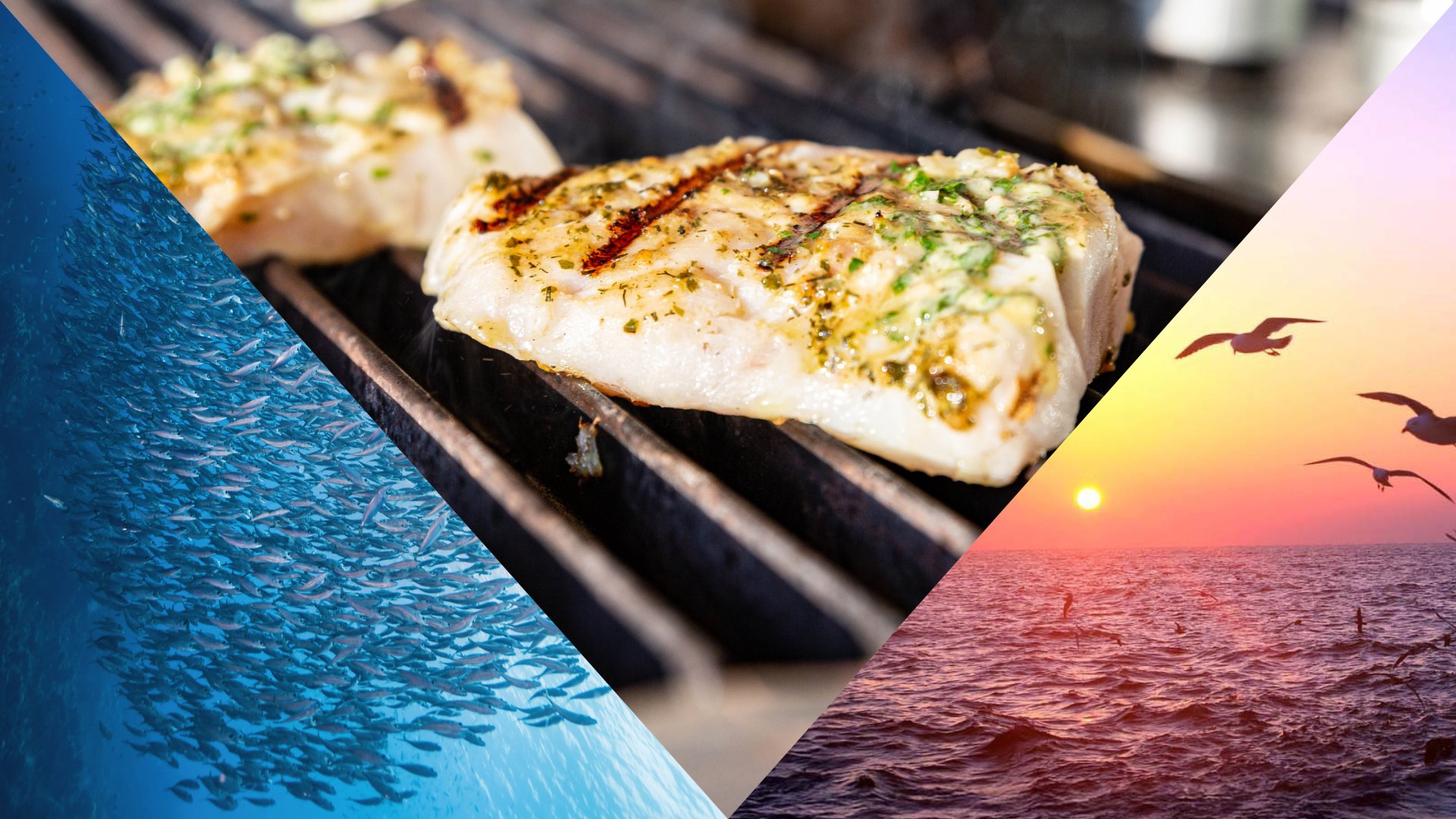 Sommar, sol och grillat | Marine Stewardship Council