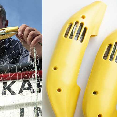 MSC news and opinions from around the world | Marine Stewardship Council