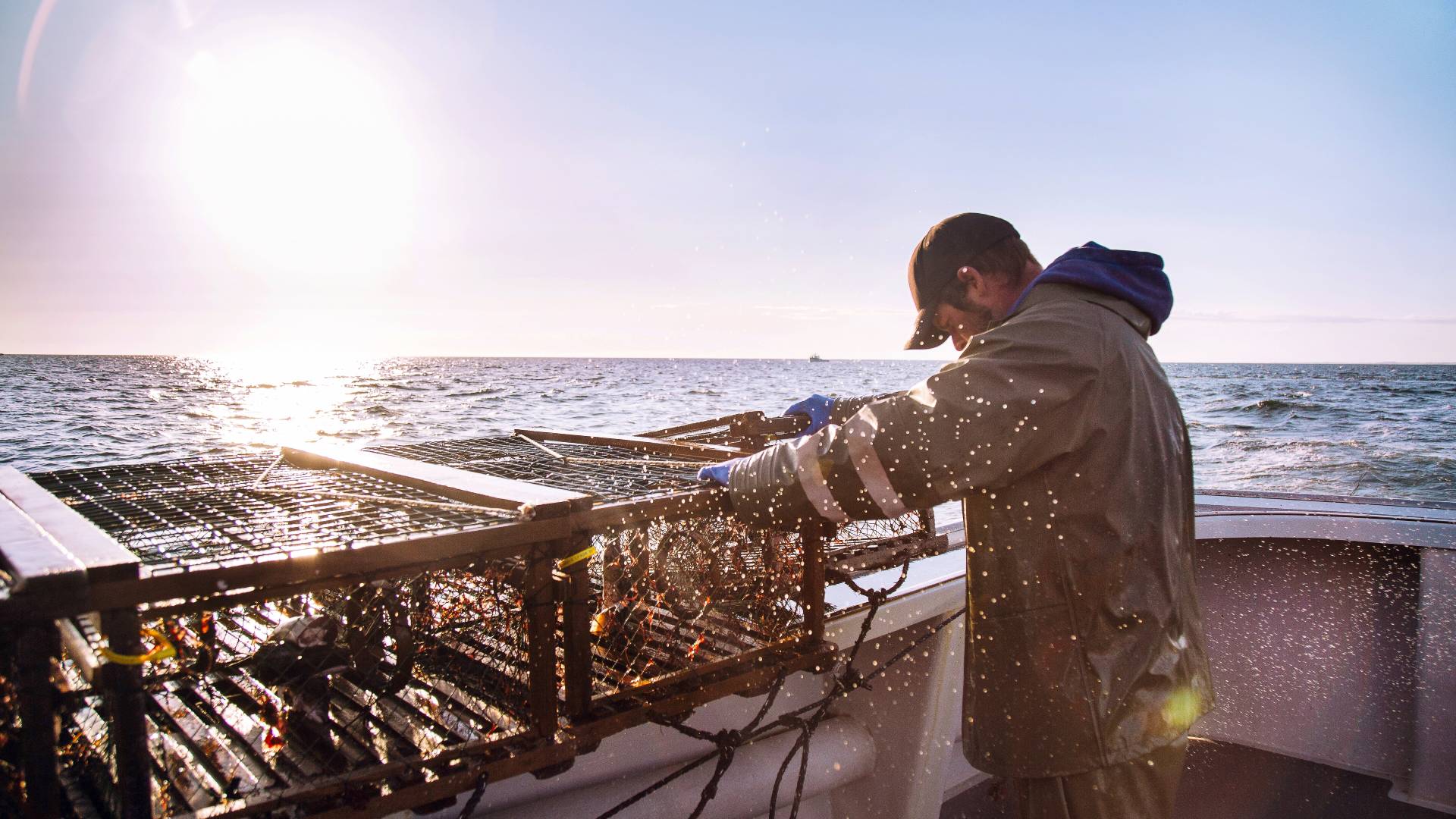 The MSC Standards | Marine Stewardship Council | Marine Stewardship Council