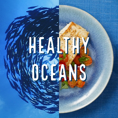 Blue Fish Guide | Sustainable Seafood | Marine Stewardship Council ...