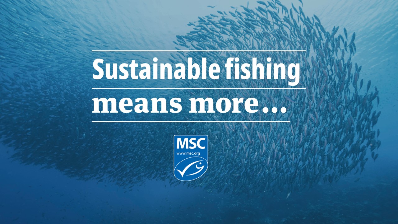 World Oceans Day 2025 | Marine Stewardship Council