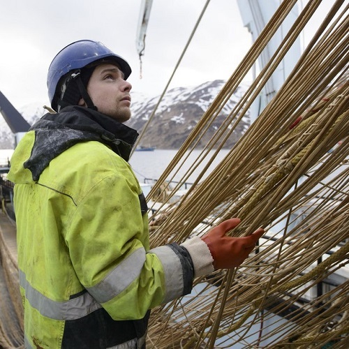 The stories behind the MSC label - Marine Stewardship Council | Marine ...