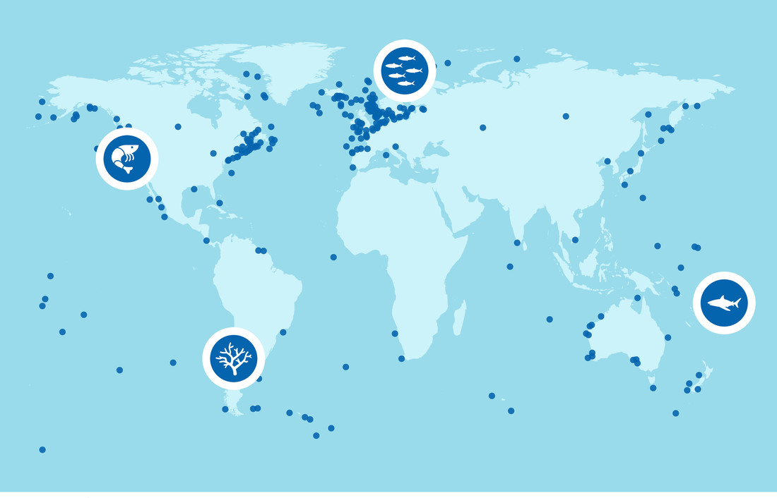 Performance improvements in MSC certified sustainable fisheries ...