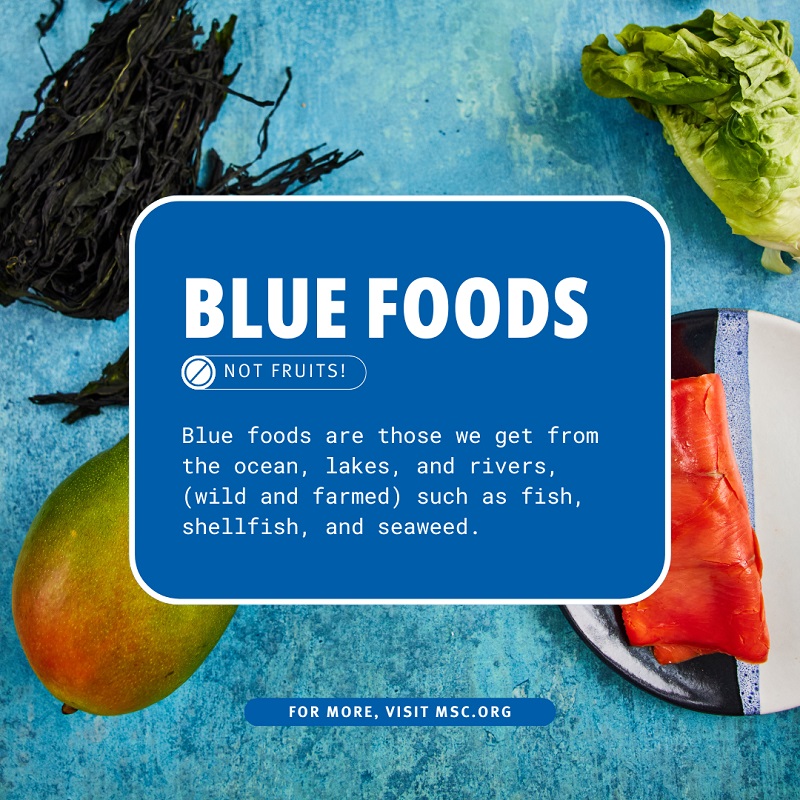 Blue Foods Definition | Marine Stewardship Council