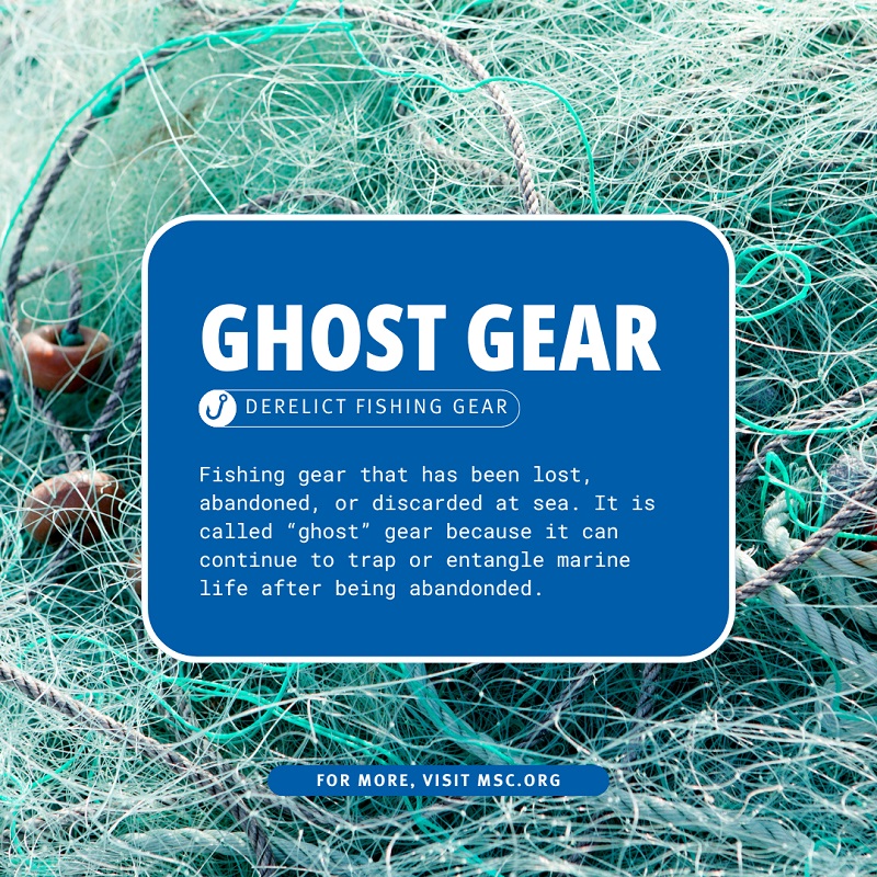 Ghost Gear Definition | Marine Stewardship Council