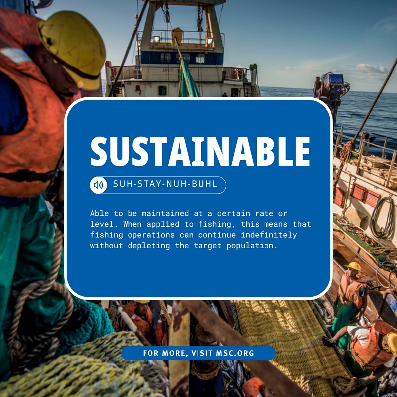 Sustainable Fishing Definitions: Sustainable | Marine Stewardship Council