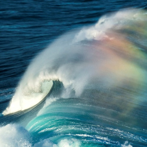 Five Actions to Help Protect the Ocean | Marine Stewardship Council