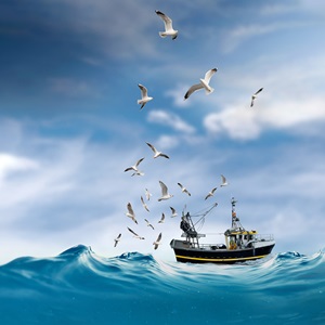 Pelagic Definition | Marine Stewardship Council | Marine Stewardship ...