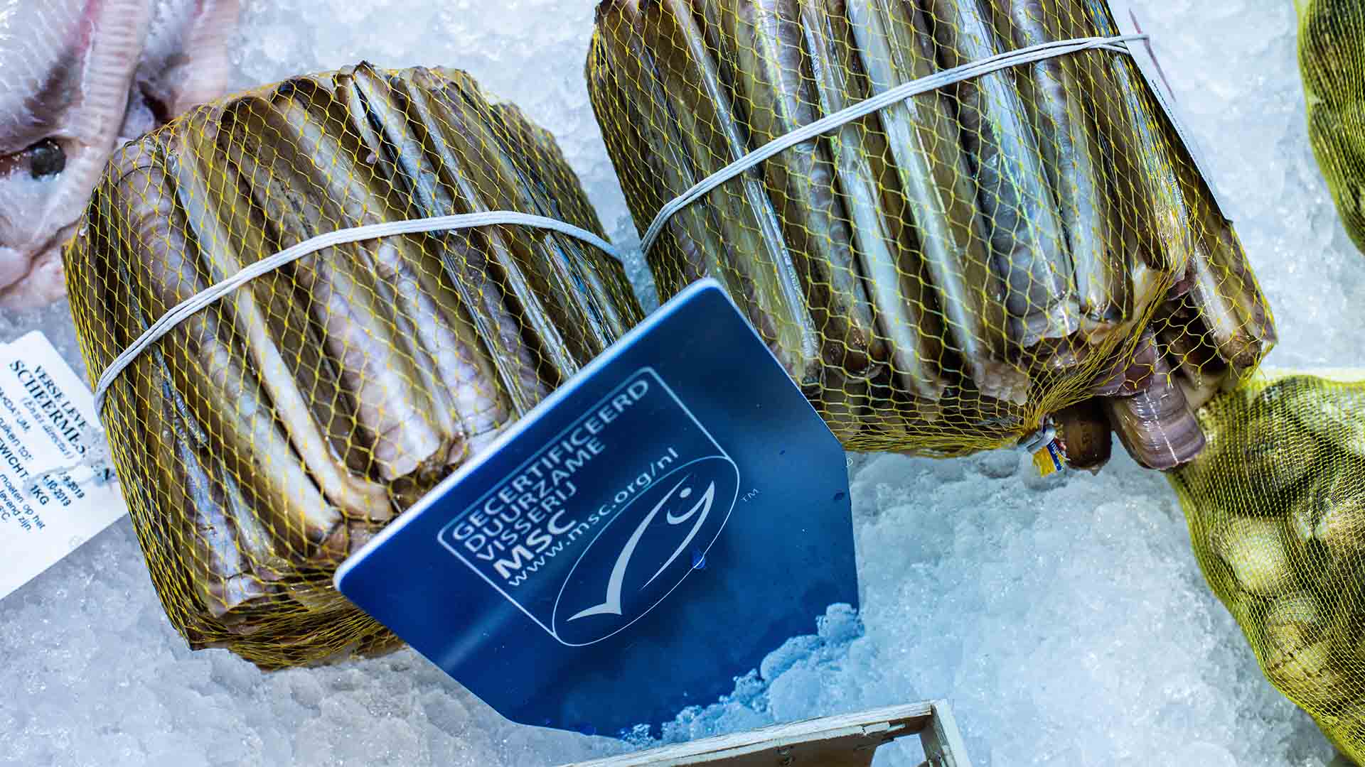 Een geloofwaardig keurmerk voor vis | MSC Keurmerk | Marine Stewardship ...