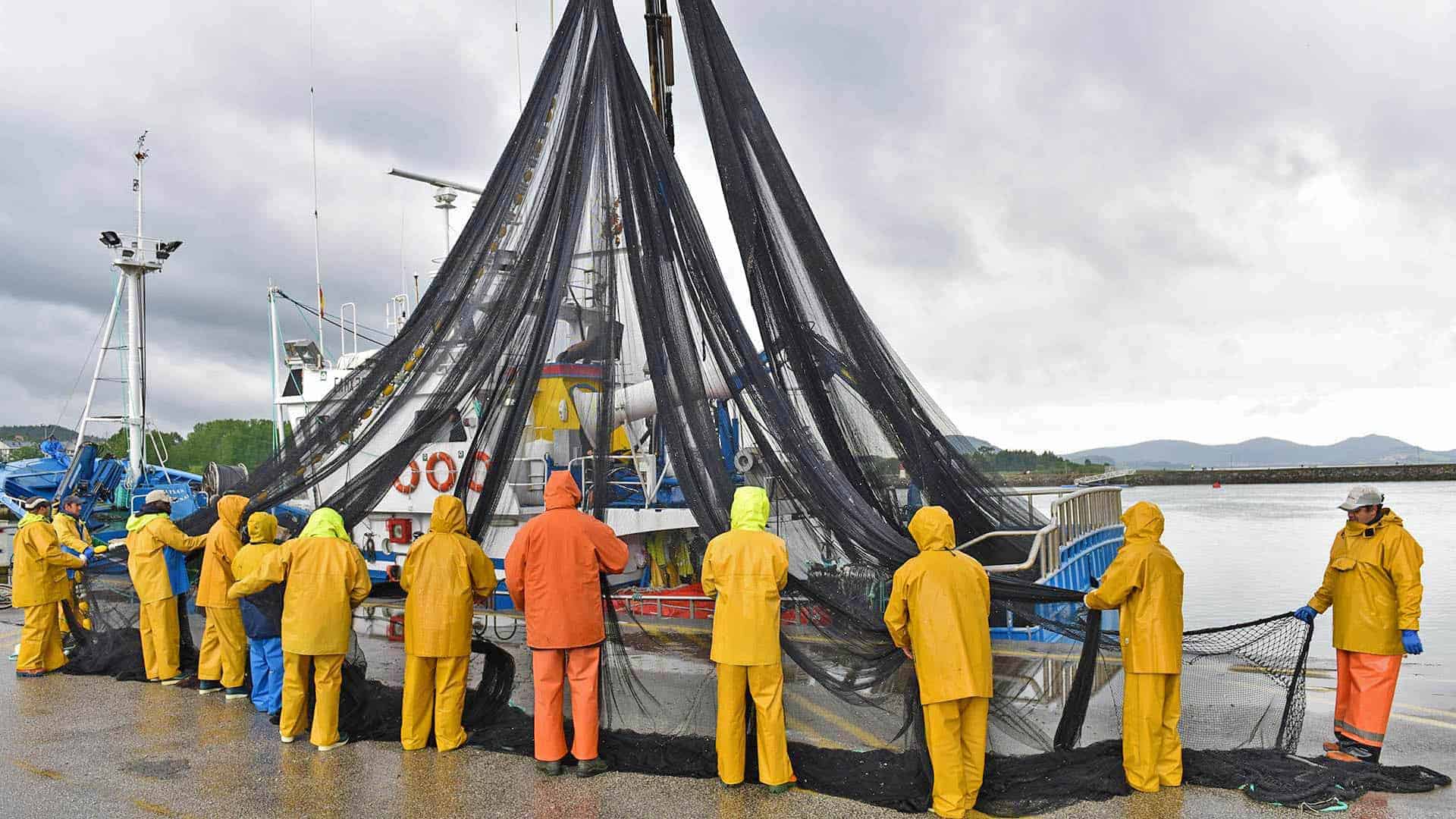 Our approach to sustainability | Marine Stewardship Council