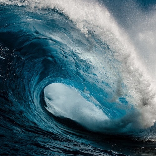 Resources to support Mātauranga Māori | Marine Stewardship Council