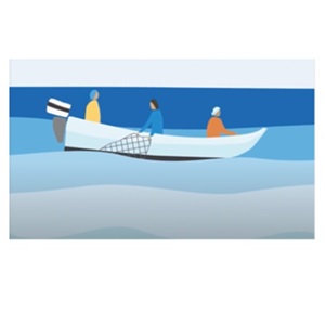 Kahoot! quizzes for New Zealand learners | Marine Stewardship Council