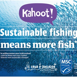 Kahoot! quizzes for New Zealand learners | Marine Stewardship Council