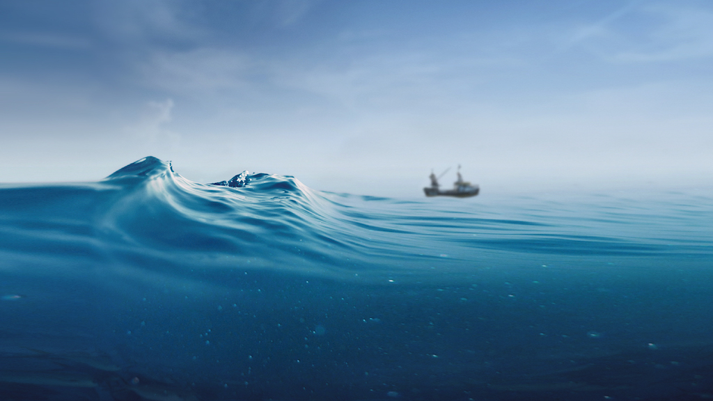 Nagrody na 10-lecie MSC w Polsce | Marine Stewardship Council