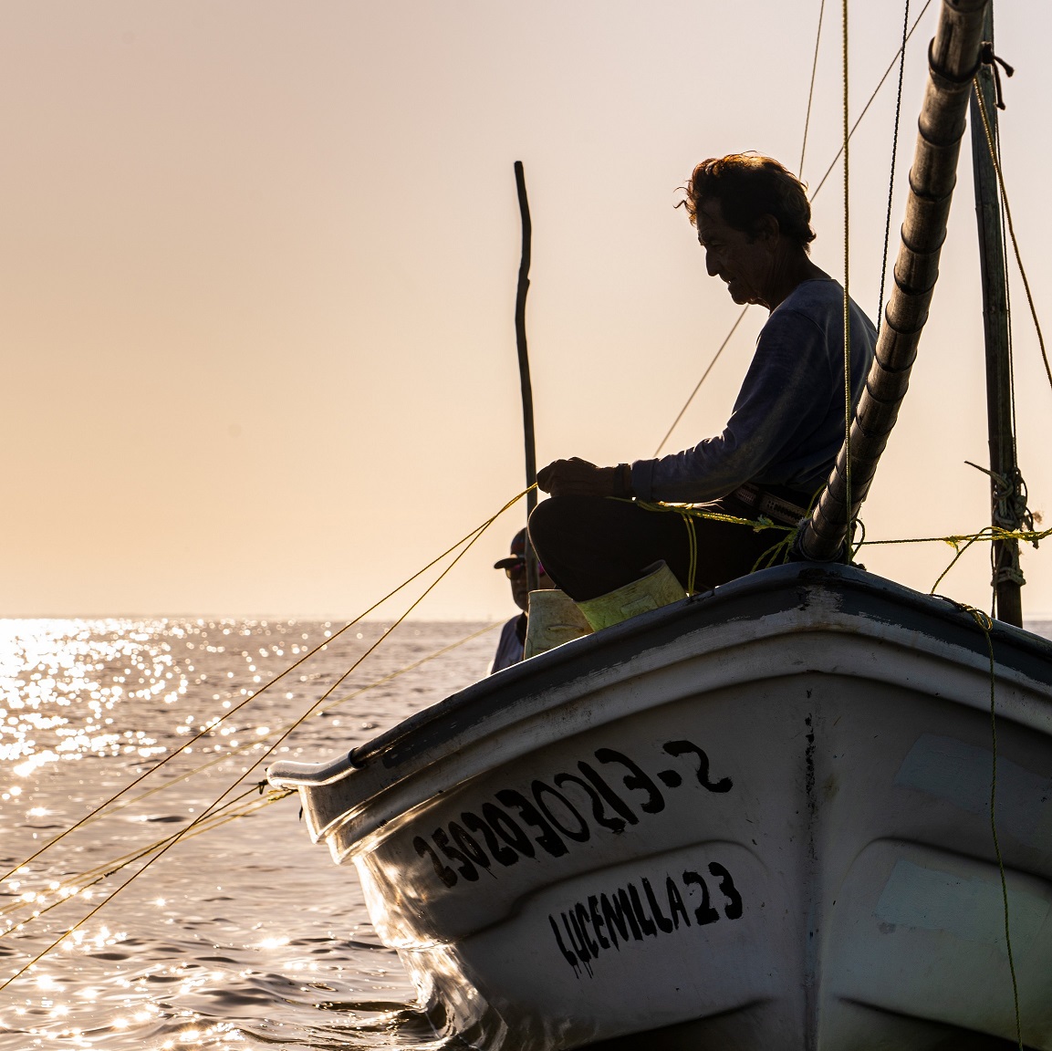 A pesca sustentável e a conservação dos oceanos recebem um incentivo ...