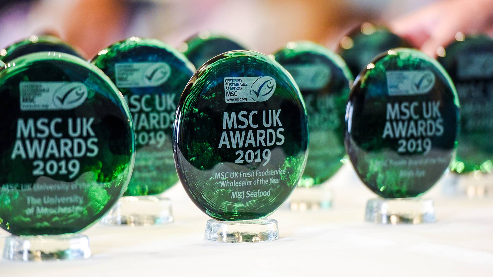 MSC UK Awards 2019 | Marine Stewardship Council | Marine Stewardship ...