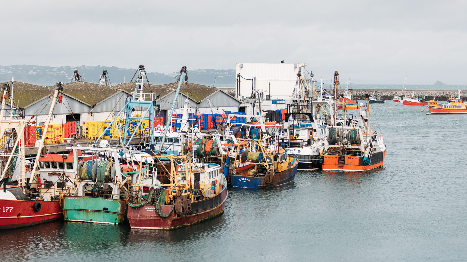 MSC UK & Ireland Market Report | Marine Stewardship Council