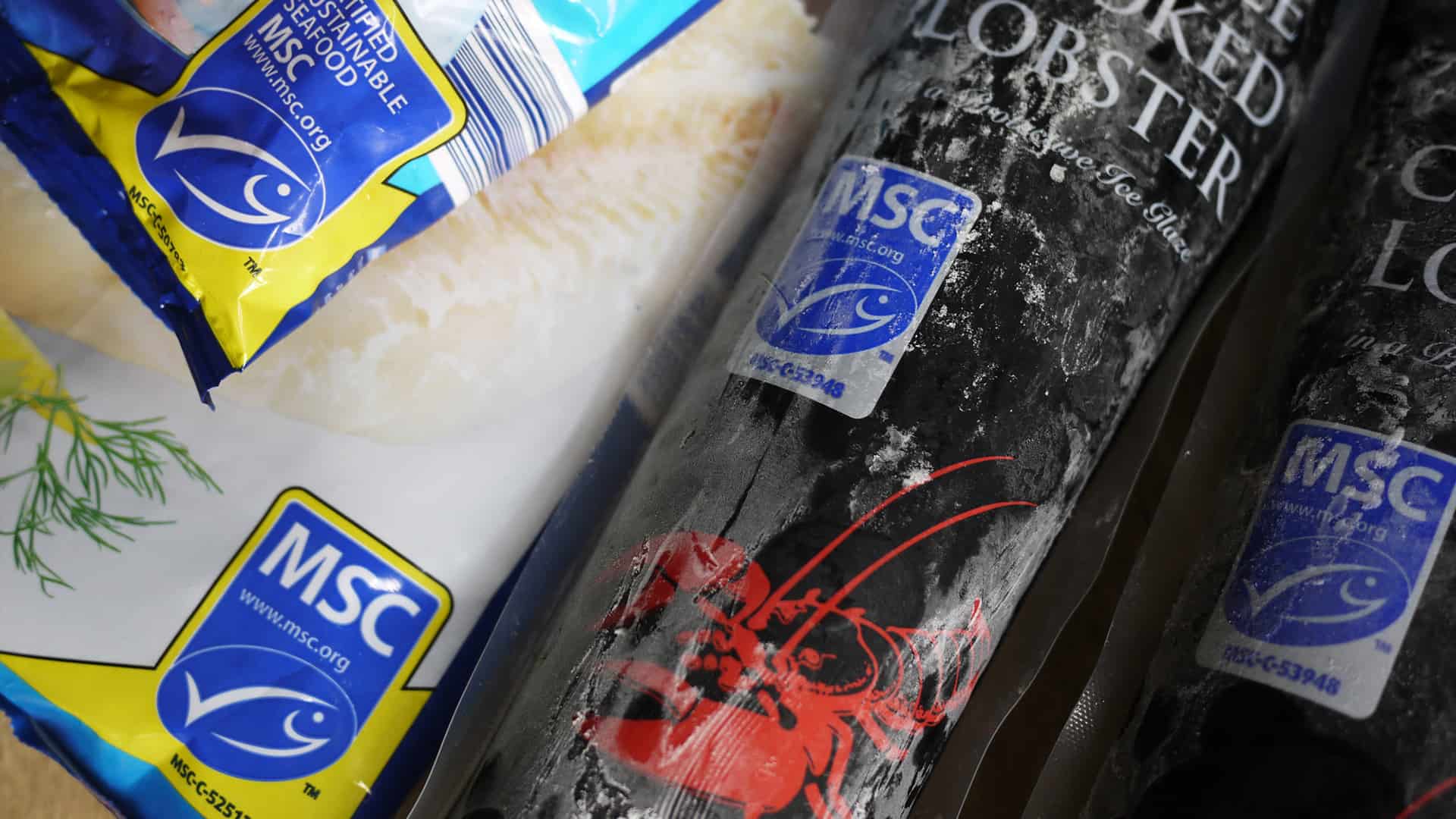 The MSC Chain of Custody Standard | Marine Stewardship Council