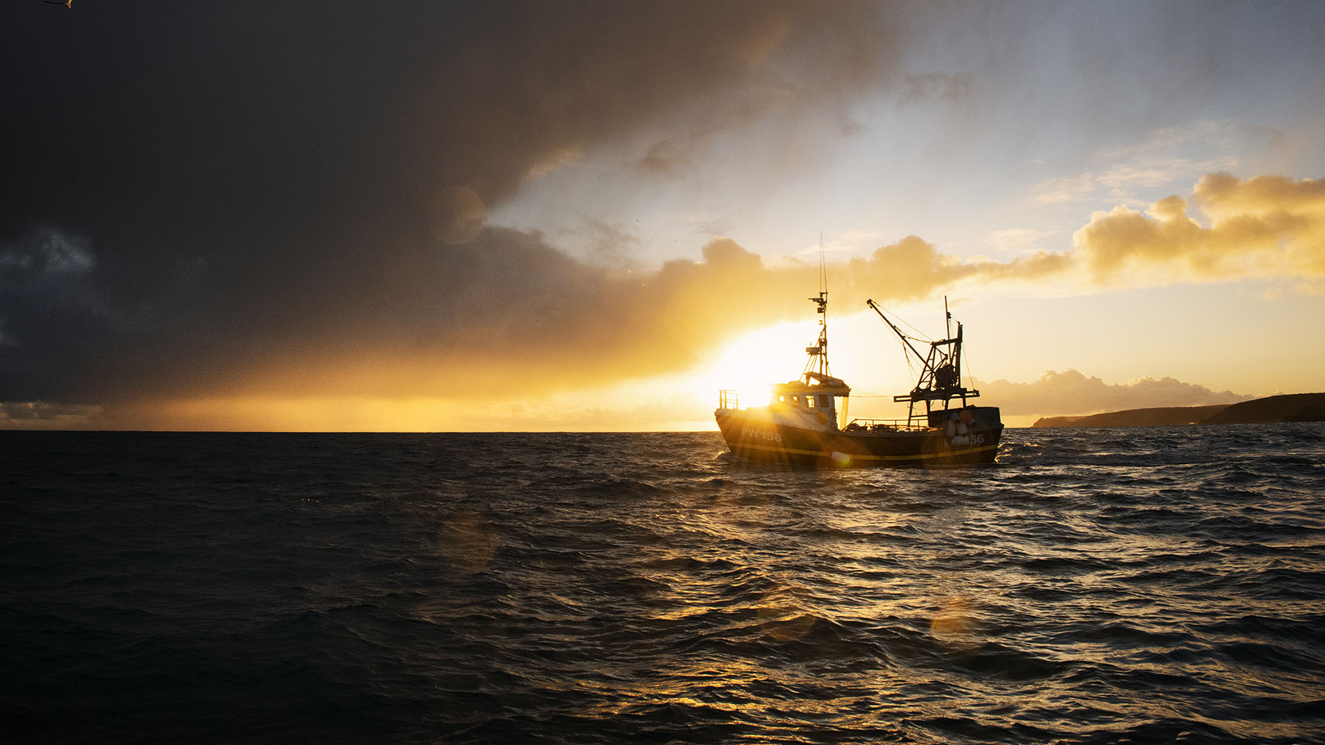 MSC Press Releases | Marine Stewardship Council