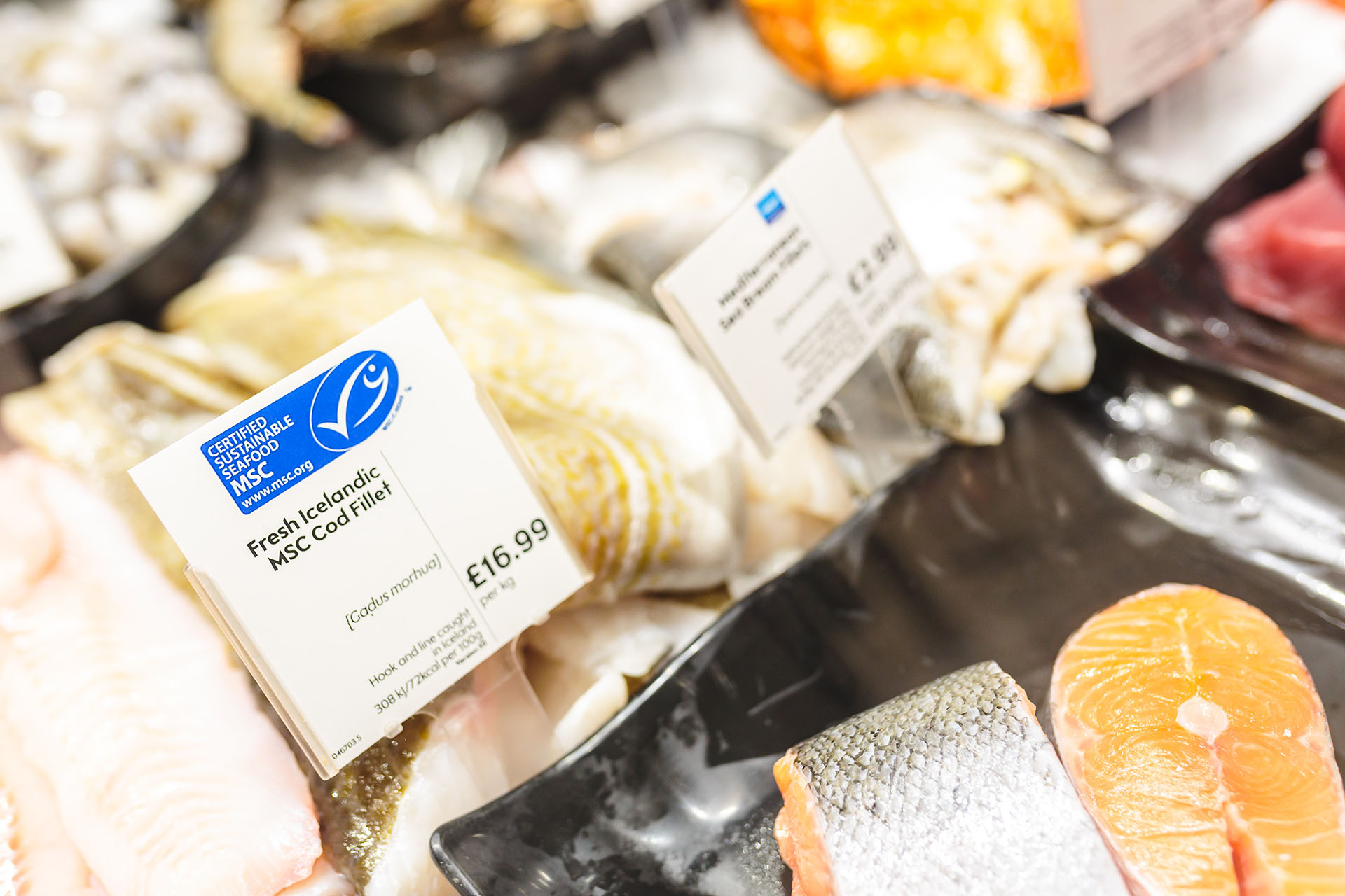 Is seafood with the MSC label really sustainable | Marine Stewardship ...