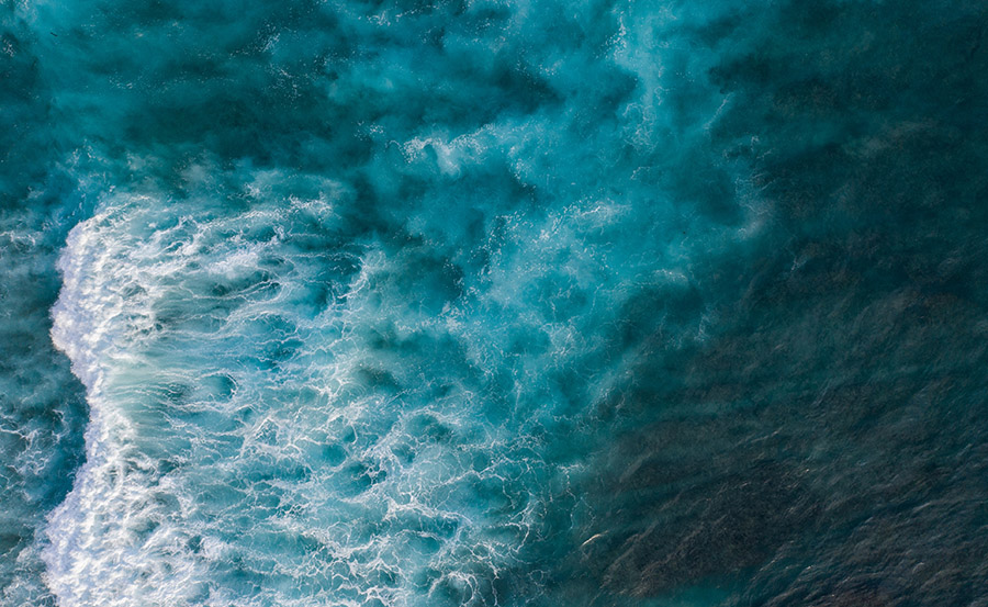 Charlas en azul | Marine Stewardship Council