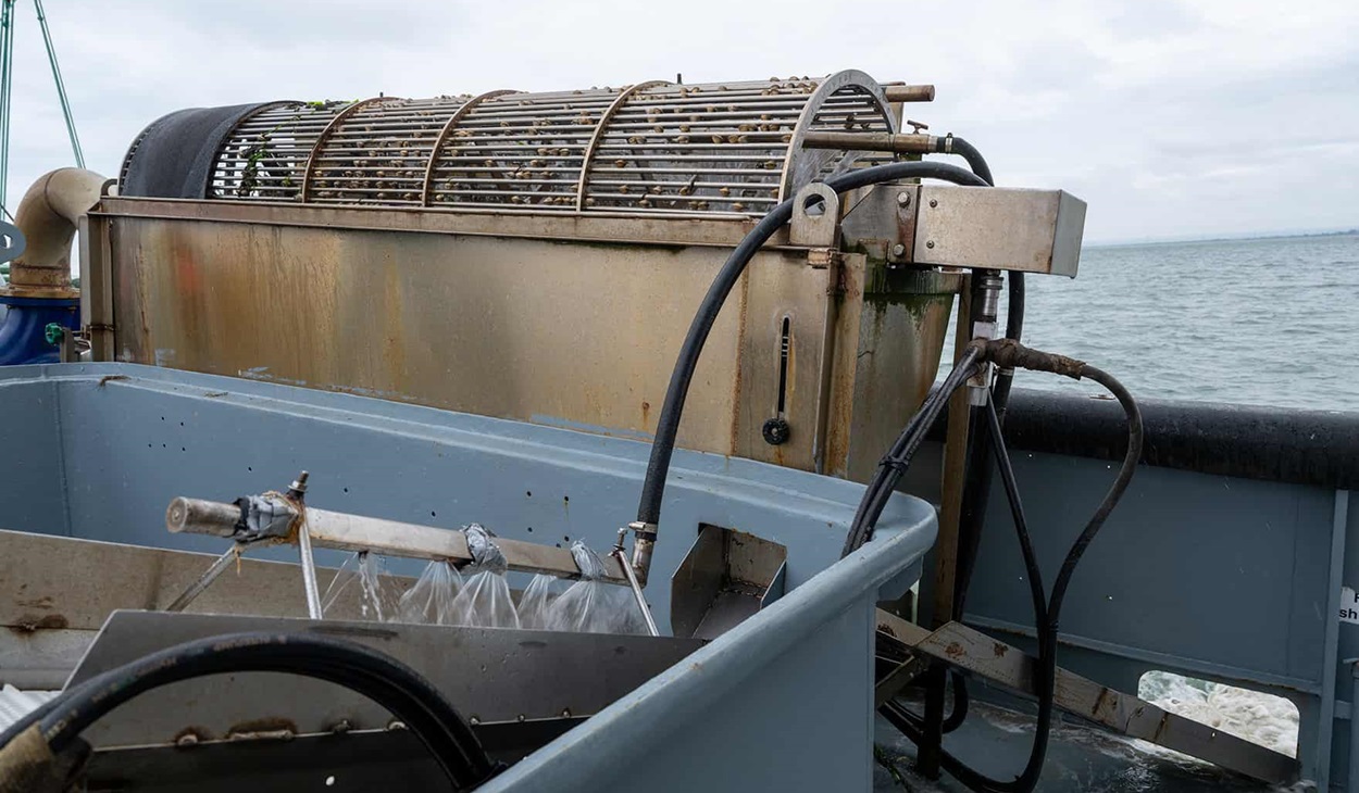 Thames Estuary Cockle | Marine Stewardship Council