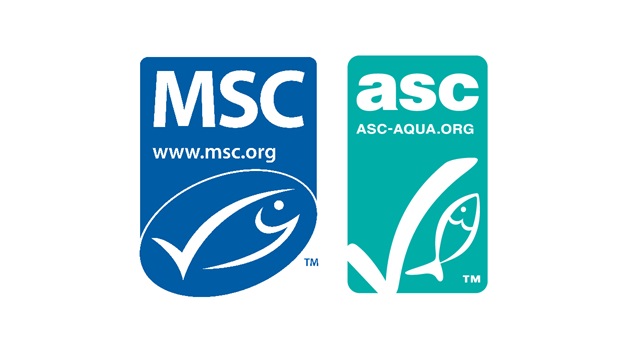MSC UK Awards | Marine Stewardship Council | Marine Stewardship Council