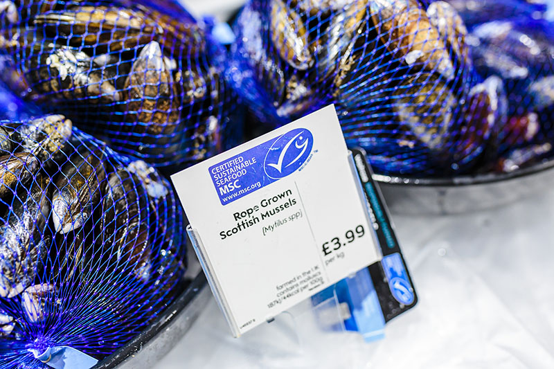 MSC launches new review of Chain of Custody Standard | Marine ...