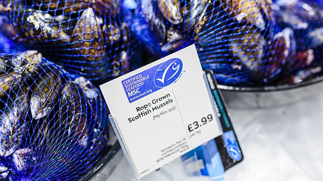 MSC launches new review of Chain of Custody Standard | Marine Stewardship Council