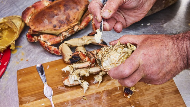 Preparing brown crab | Marine Stewardship Council
