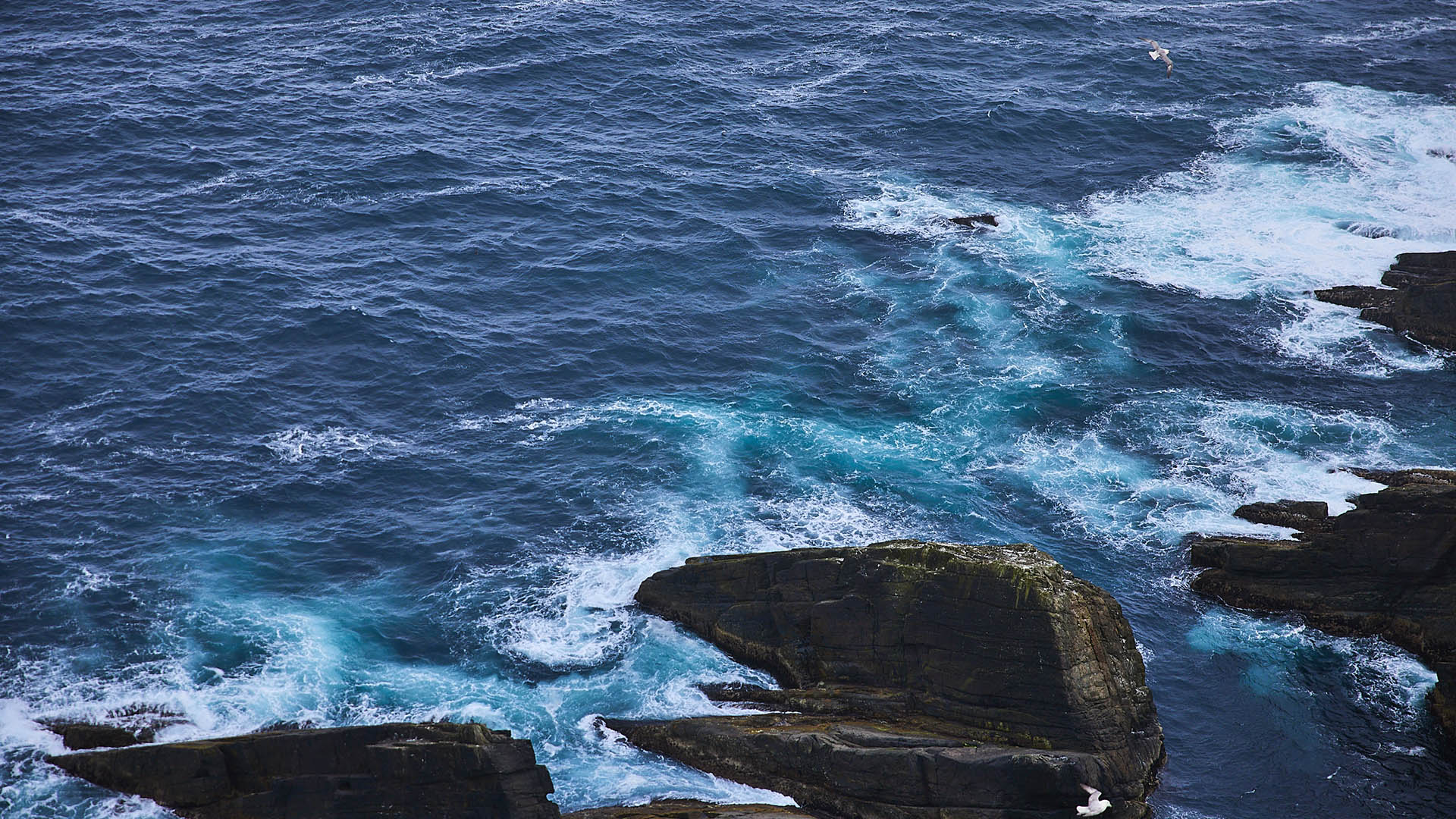 Seminarium MSC 2024 | Marine Stewardship Council